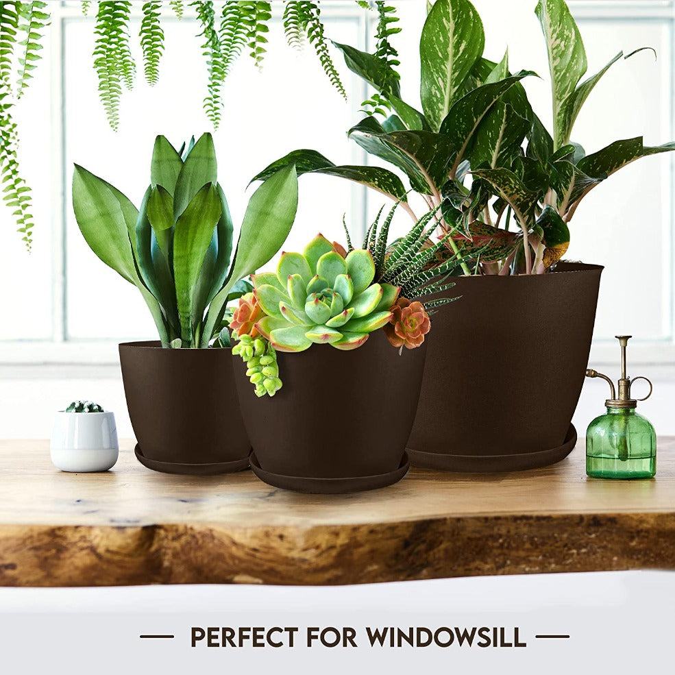 Vibrant Planter Pots Collection - Elevate Your Space | Fast Forward